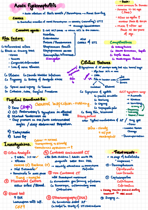 Acute and Chronic Glomerulonephritis Nephrology - Acute ...