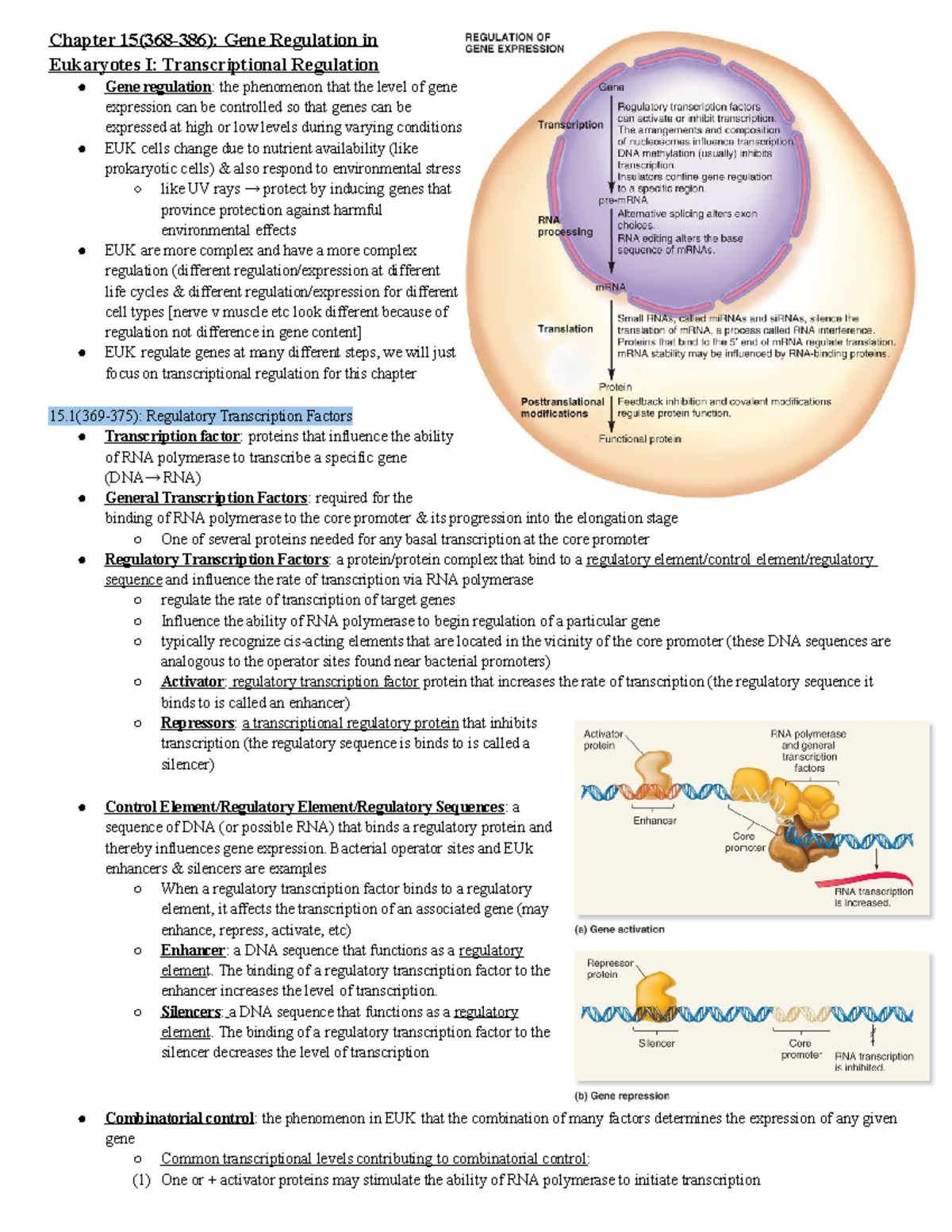 Chapter 15 - Summary Molecular Genetics - Chapter 15(368-386): Gene ...