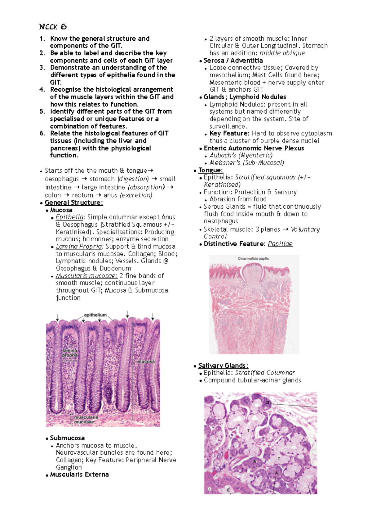 Histology - Summary - Week 6 - 7 - Know the general structure and ...