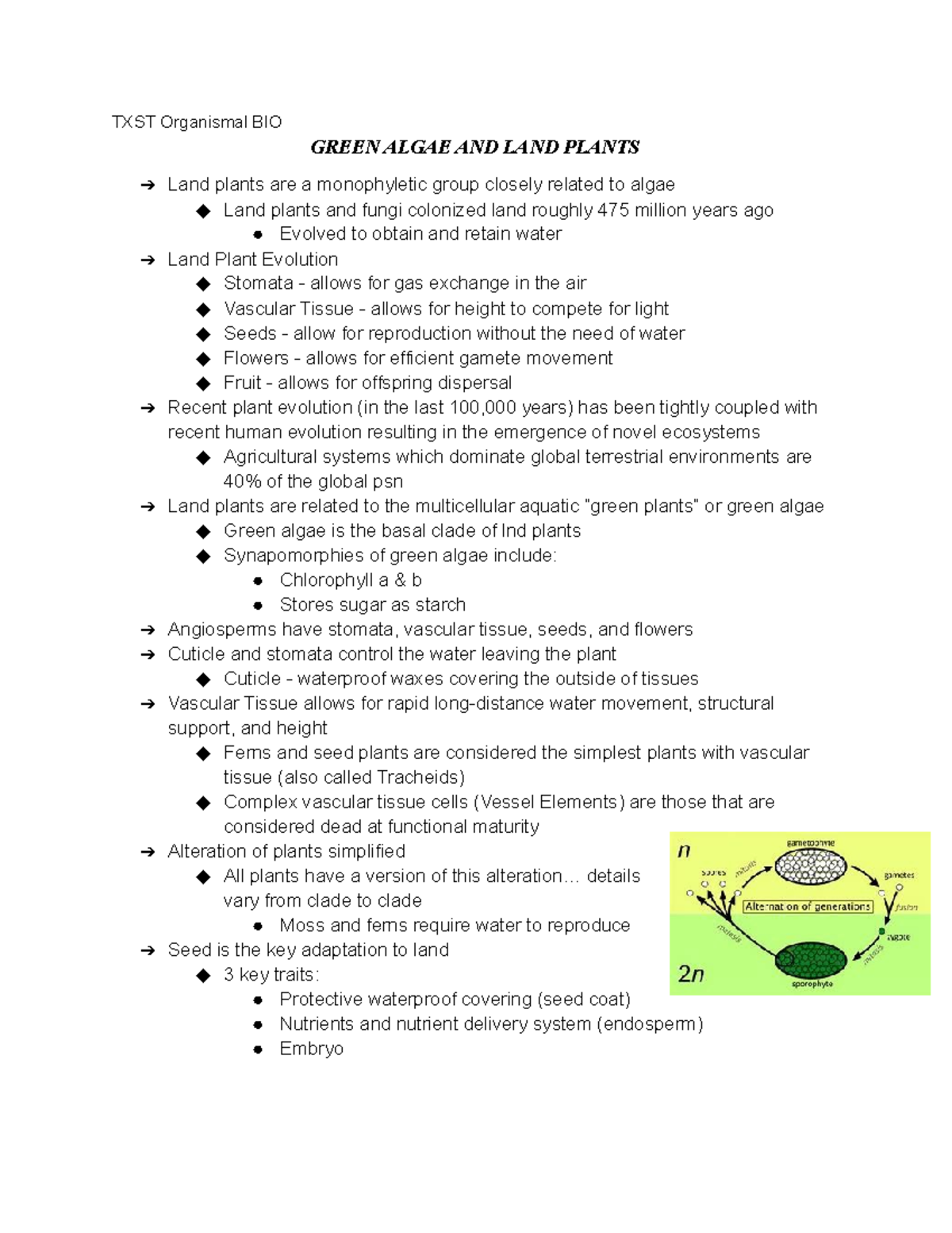 Algae and Land Plants - TXST Organismal BIO GREEN ALGAE AND LAND PLANTS ...