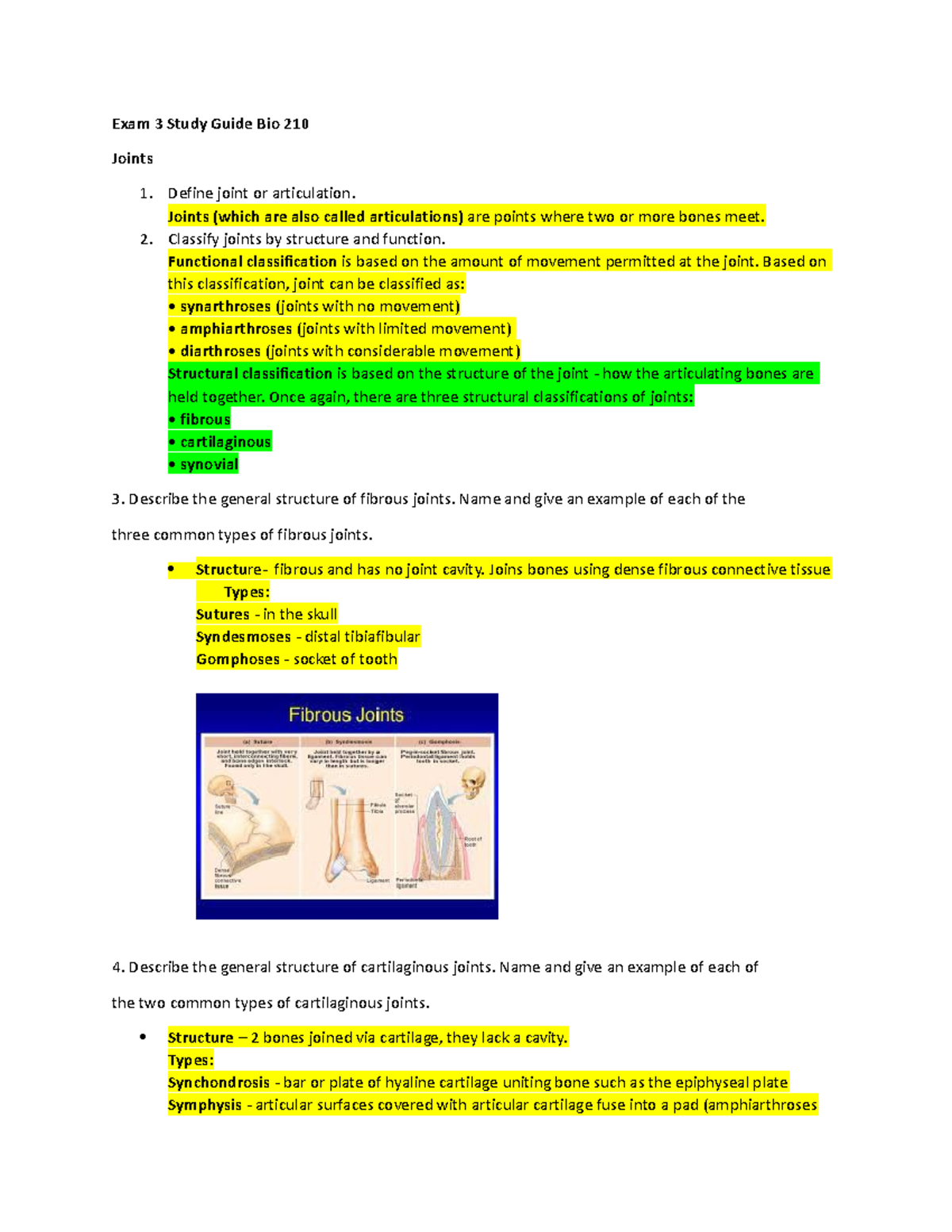 Exam 3 Study Guide Questions - Exam 3 Study Guide Bio 210 Joints 1 ...