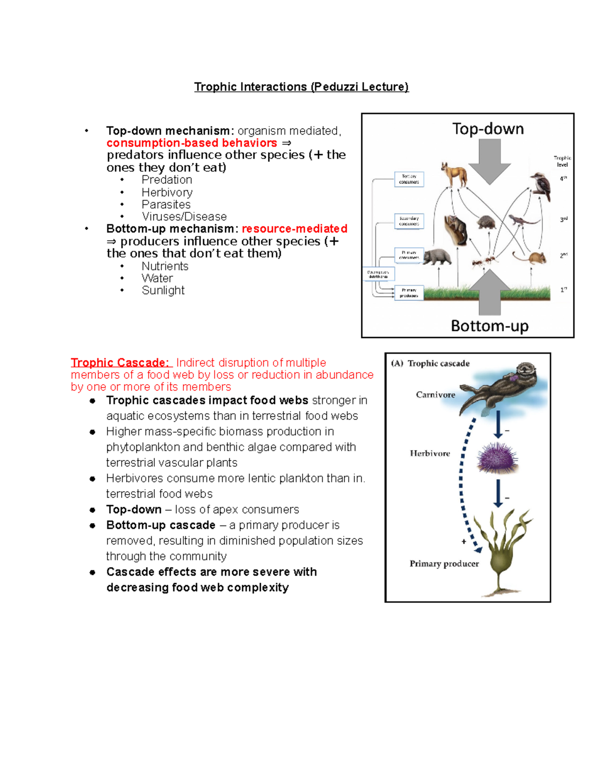 BIOL 204 M3 Trophic Interactions - Trophic Interactions (Peduzzi ...