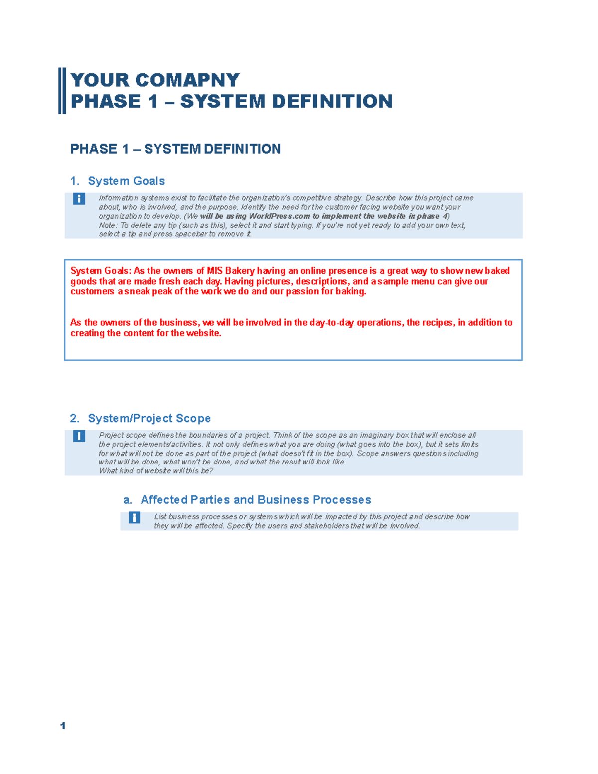 SDLC Phase 1 - System MIS - YOUR COMAPNY PHASE 1 – SYSTEM DEFINITION ...