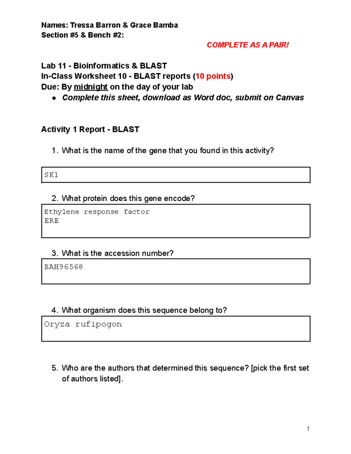Worksheet 10 - Blast - Section #5 & Bench #2: COMPLETE AS A PAIR! Lab ...