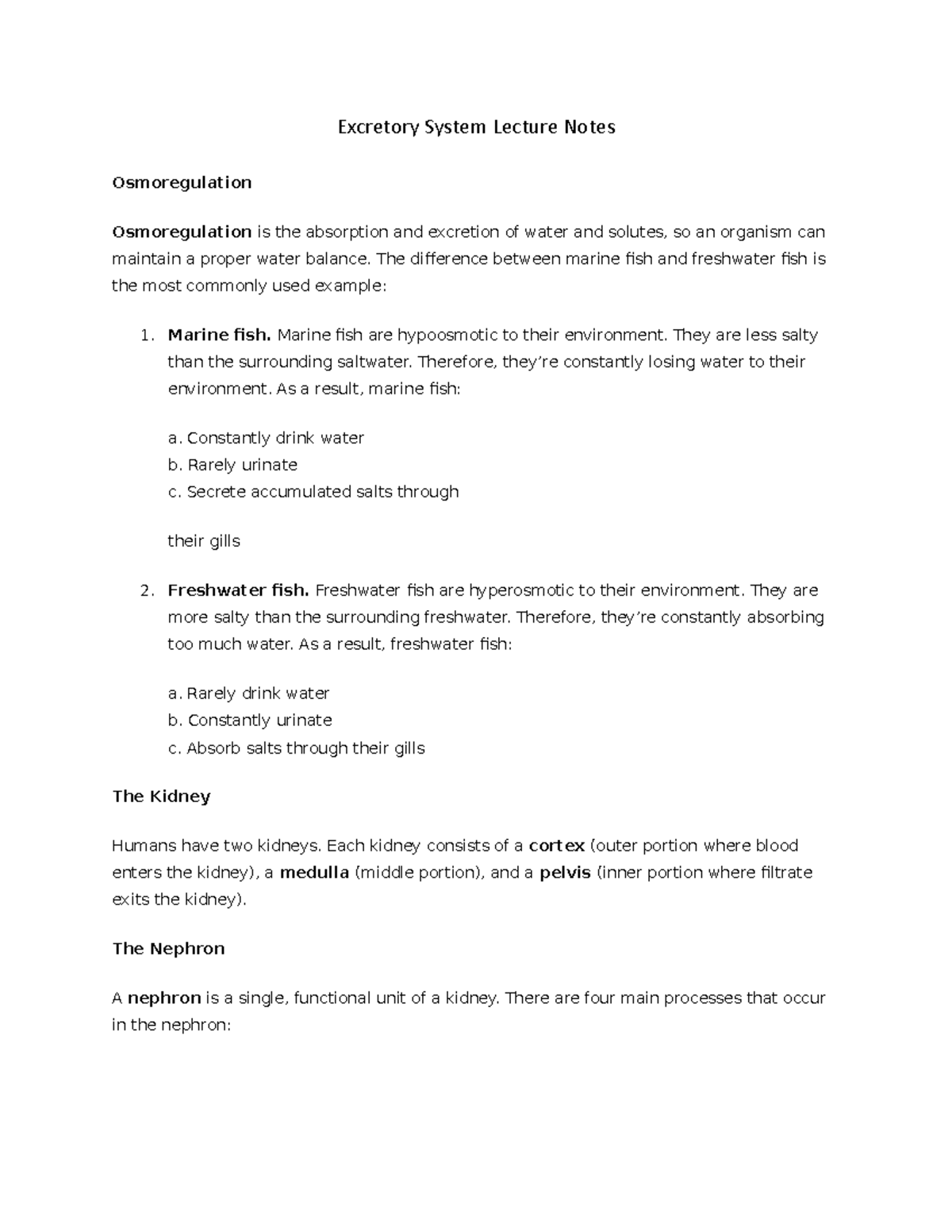 Excretory System Lecture Notes - Excretory System Lecture Notes ...