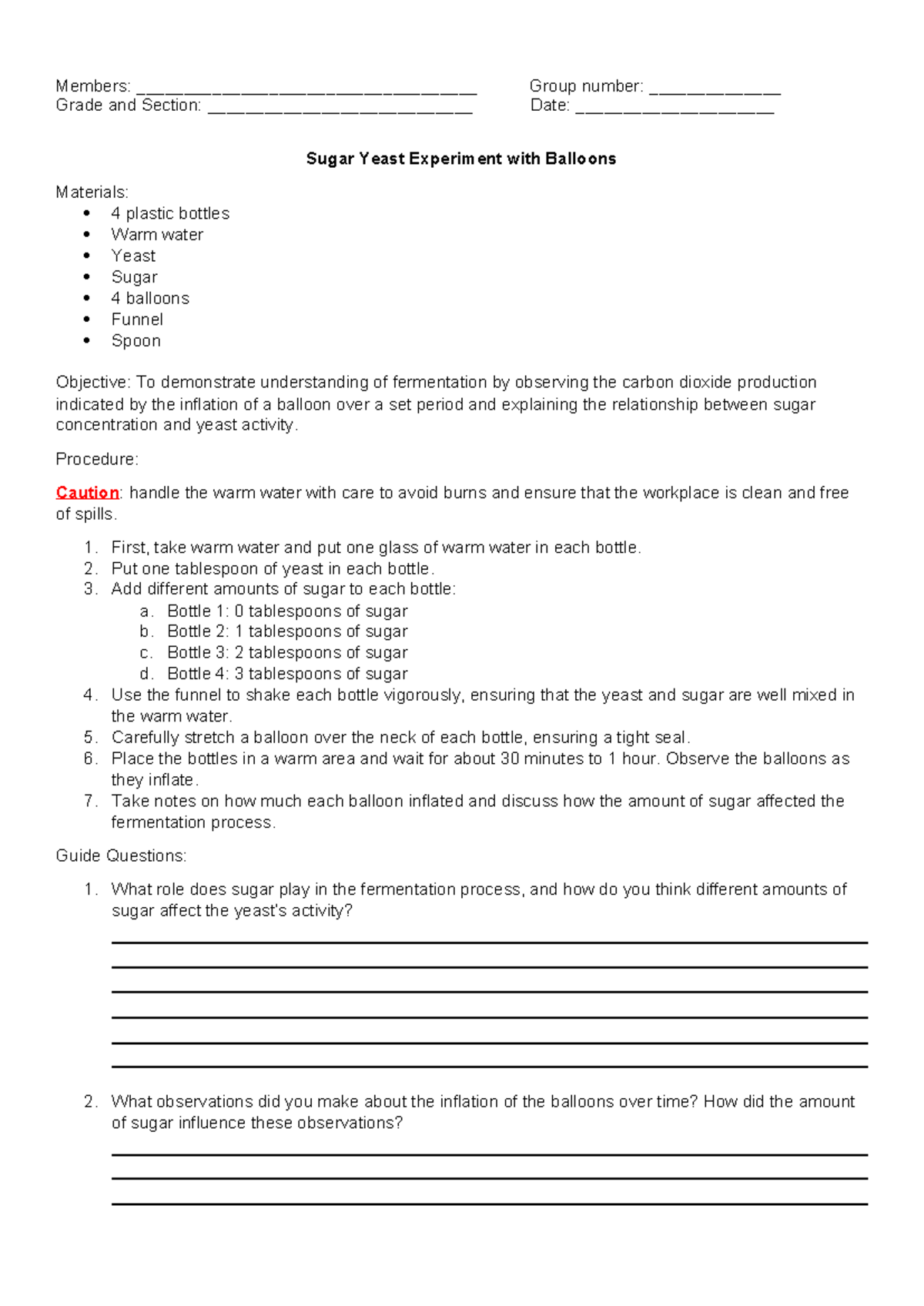 Balloon Yeast Experiment Worksheet - Members ...