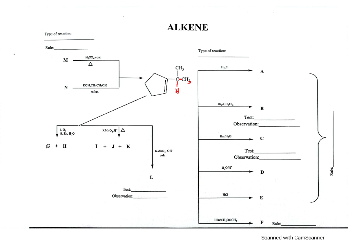 Mapping alkene - organic chemistry - Life Sciende - Studocu