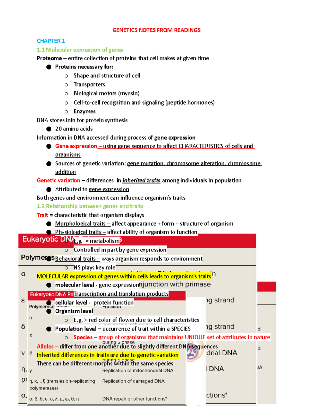 Genetics Book Notes - CHAPTER 1 1 Molecular expression of genes ...