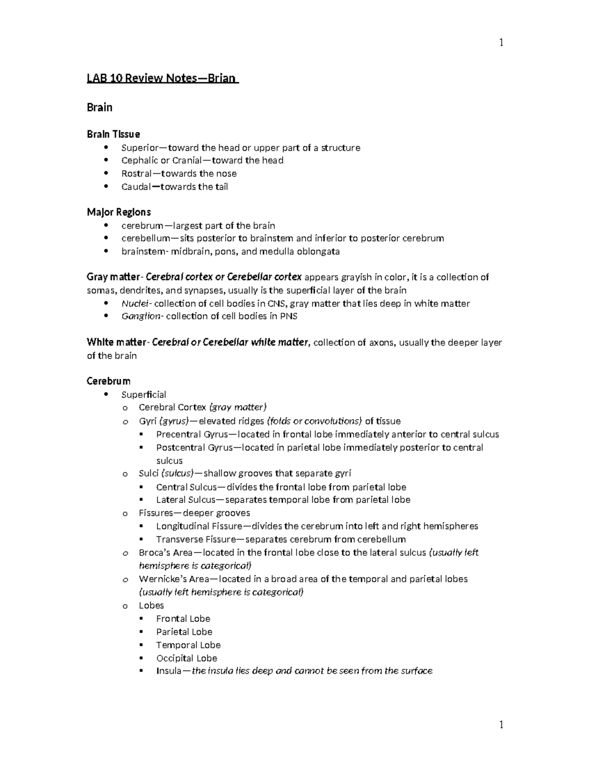 Lab 10 Review Notes Brain - LAB 10 Review Notes—Brian Brain Brain ...