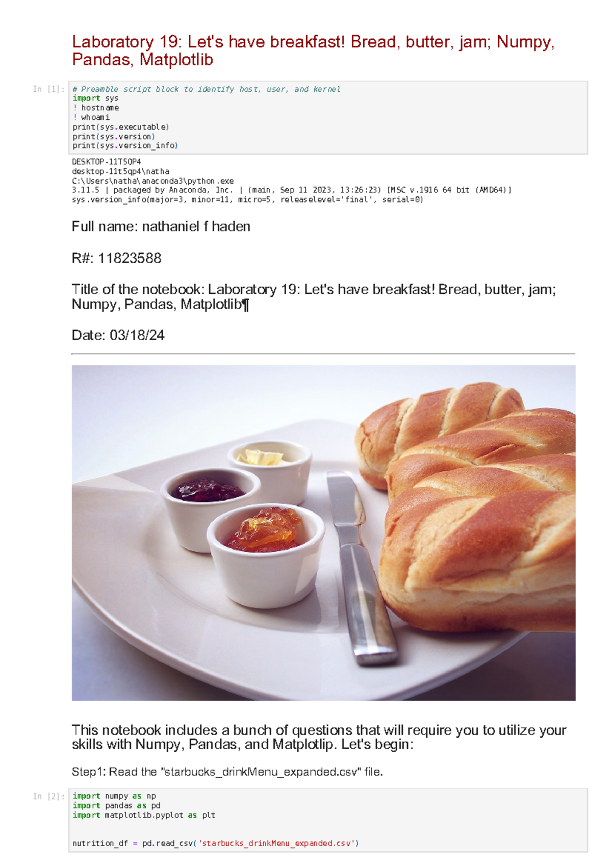 Lab19 - Laboratory 19: Let's have breakfast! Bread, butter, jam; Numpy, Pandas, Matplotlib - Studocu