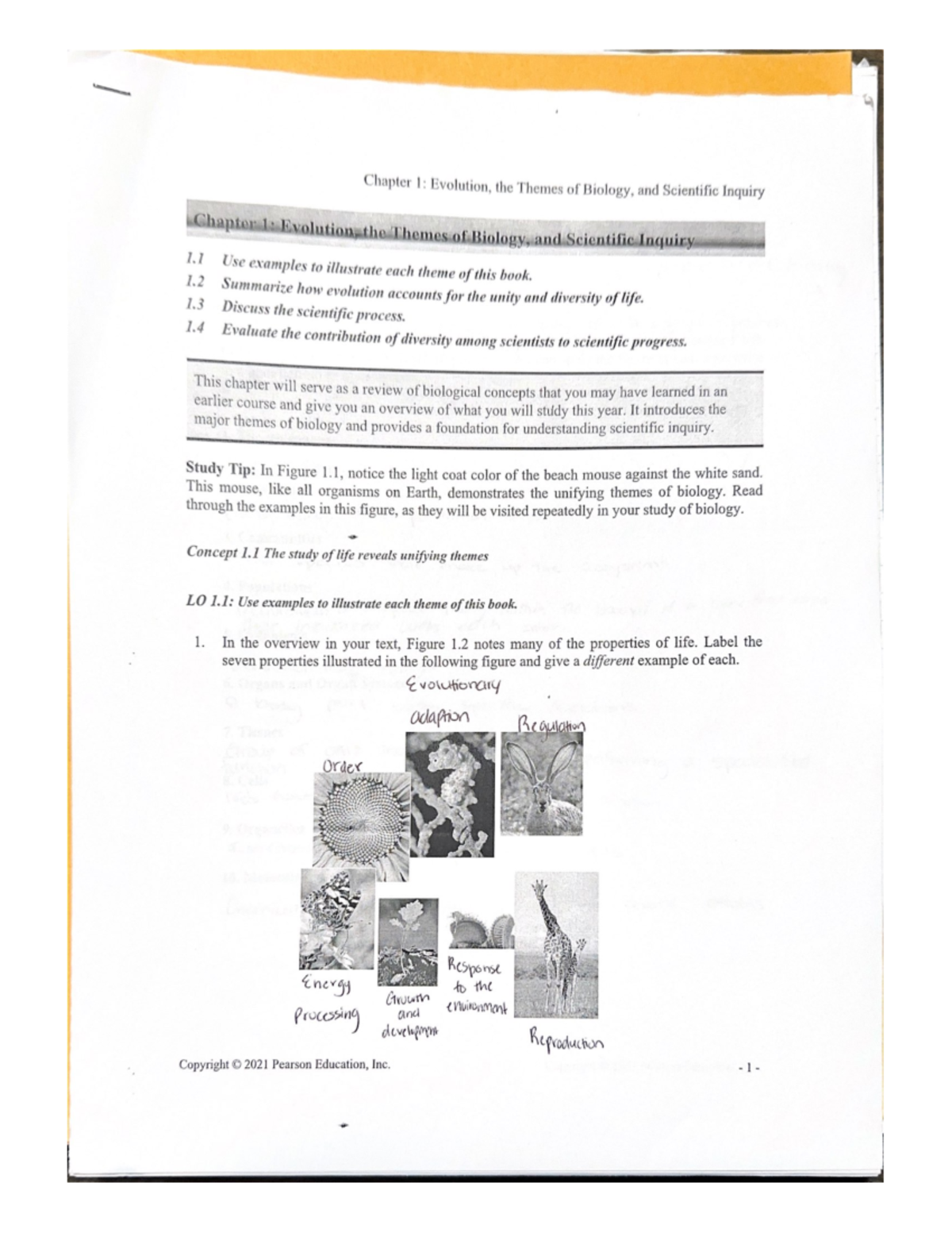 Chapter 1 guided reading - BSC2010 - Studocu