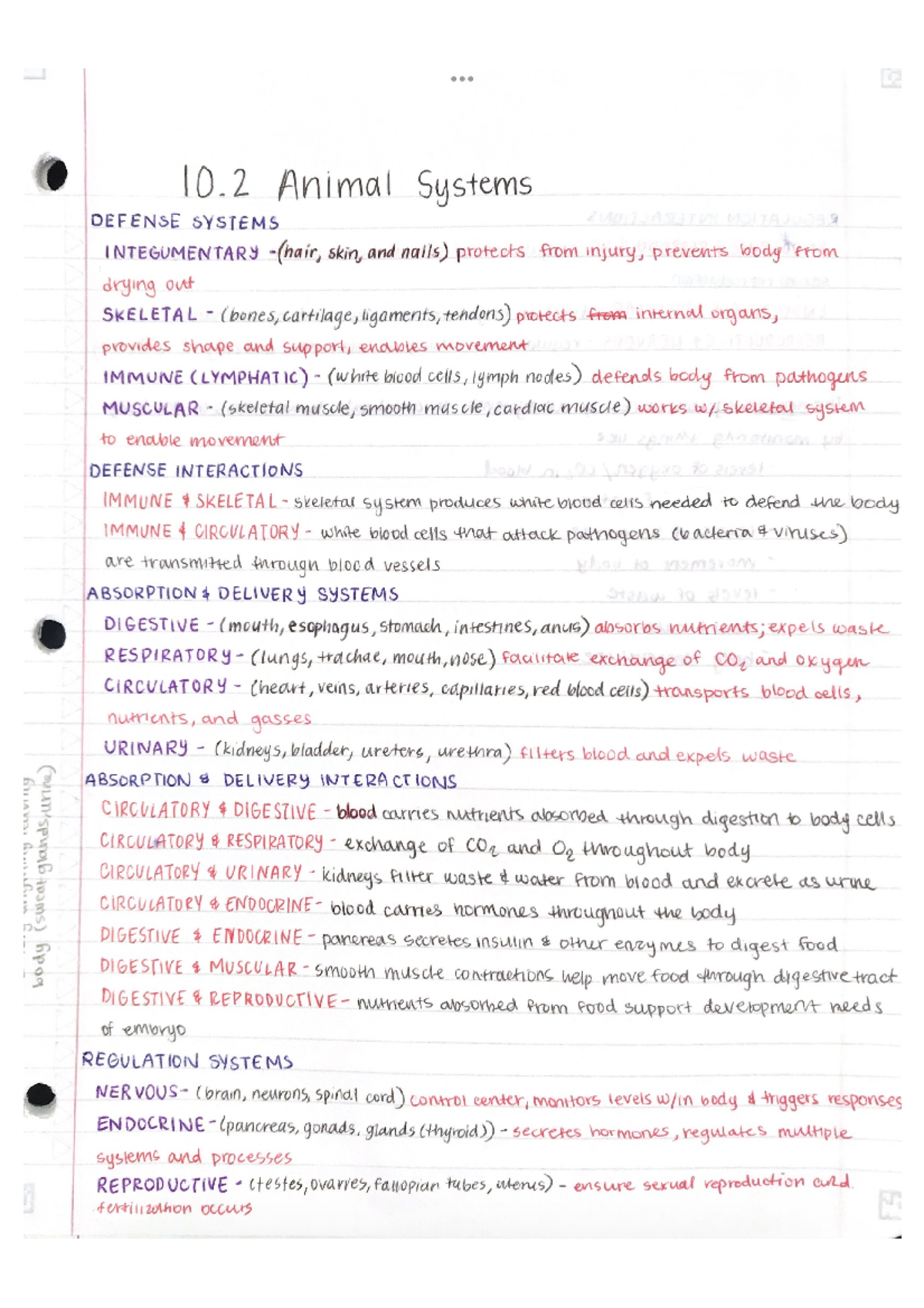 Animal Systems Notes - Studocu