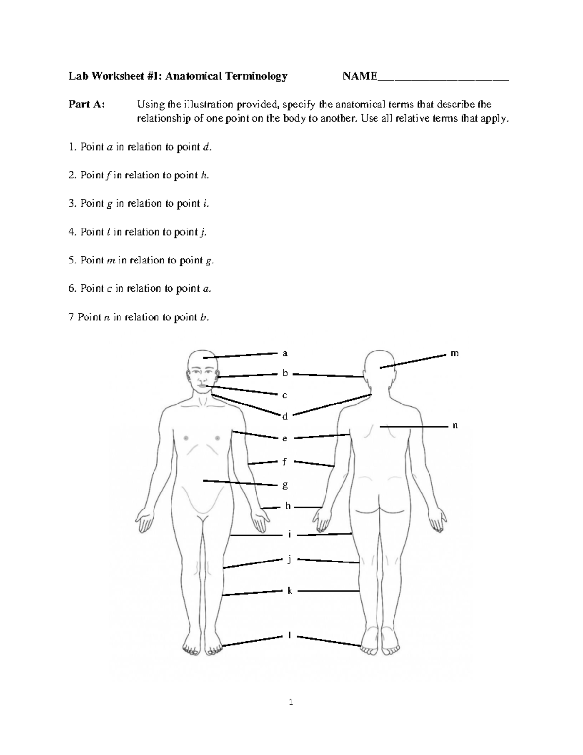 Lab Worksheet 1 Patel - give me answer - 1 Lab Worksheet #1: Anatomical ...