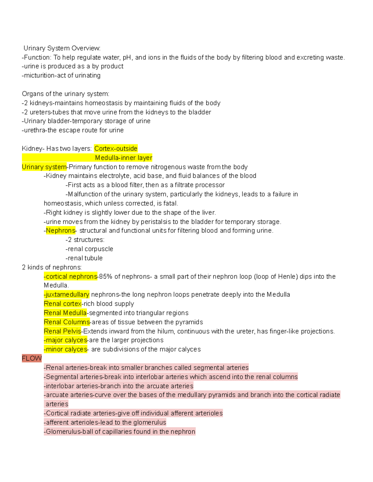 Urinary System - Study guide notes - Urinary System Overview: -Function ...