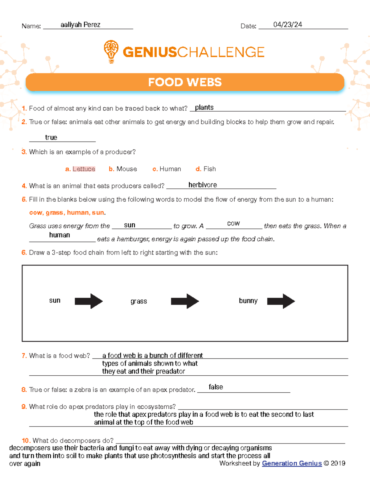 Food Webs Worksheet GG - Food of almost any kind can be traced back to ...