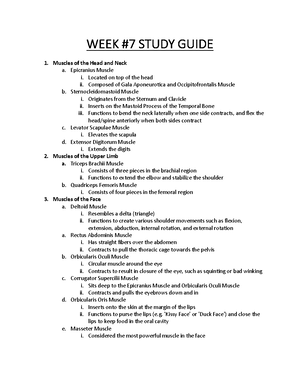Global Study Guide - GLOBAL EXAM STUDY GUIDE HIV/AIDS Study Guide I ...