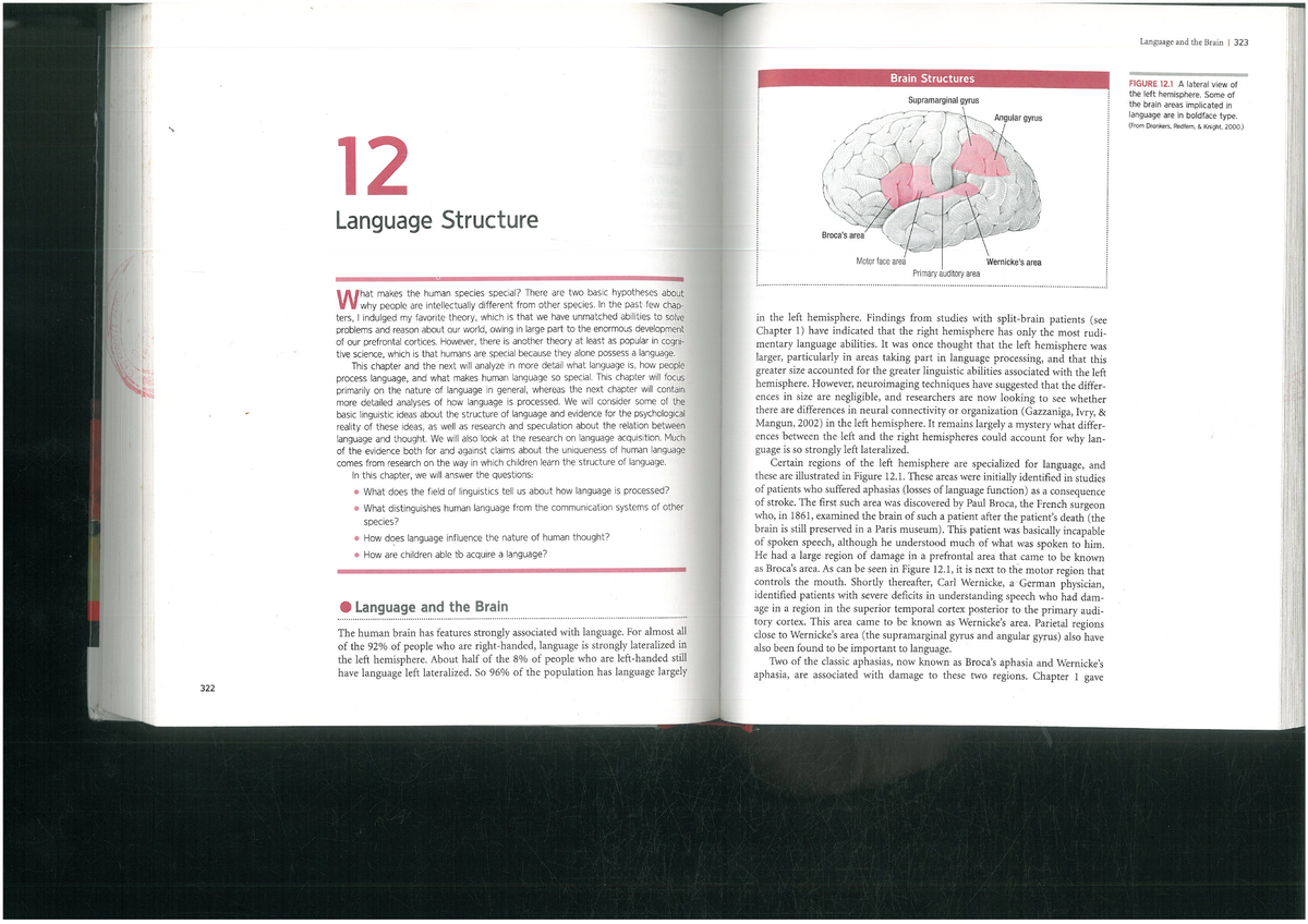 Cognitive Psychology Anderson Ch 12 Language - Language and the Brain ...