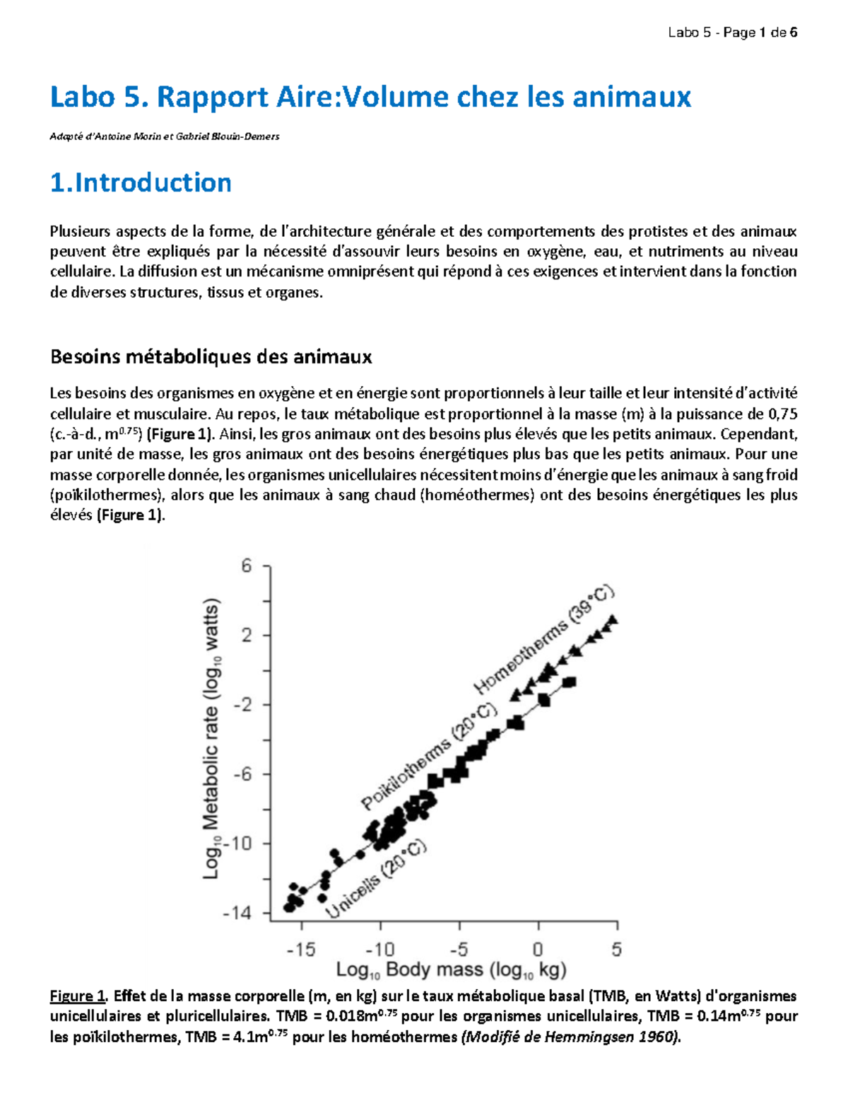 Labo 5-Rapport Aire Volume chez les animaux-2024 - Labo 5. Rapport Aire:Volume chez les animaux ...