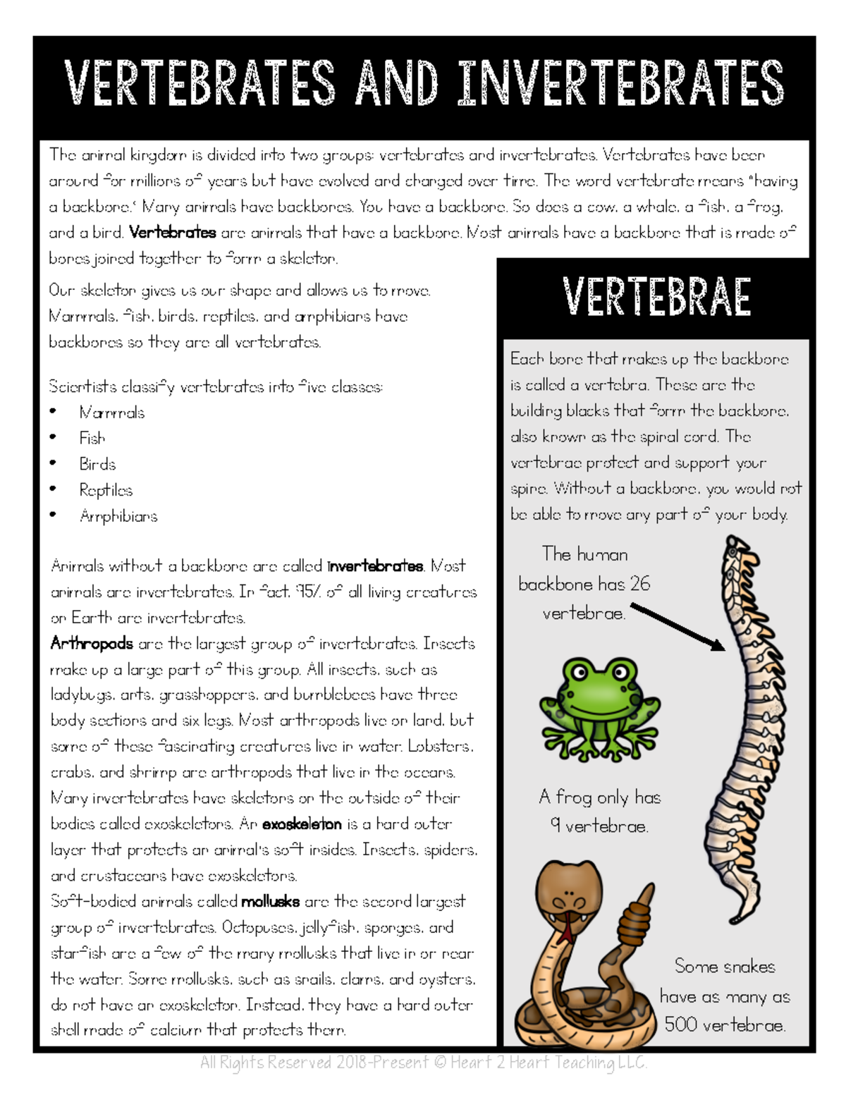 Animal Classification 1-4 - Vertebrates and invertebrates The animal ...