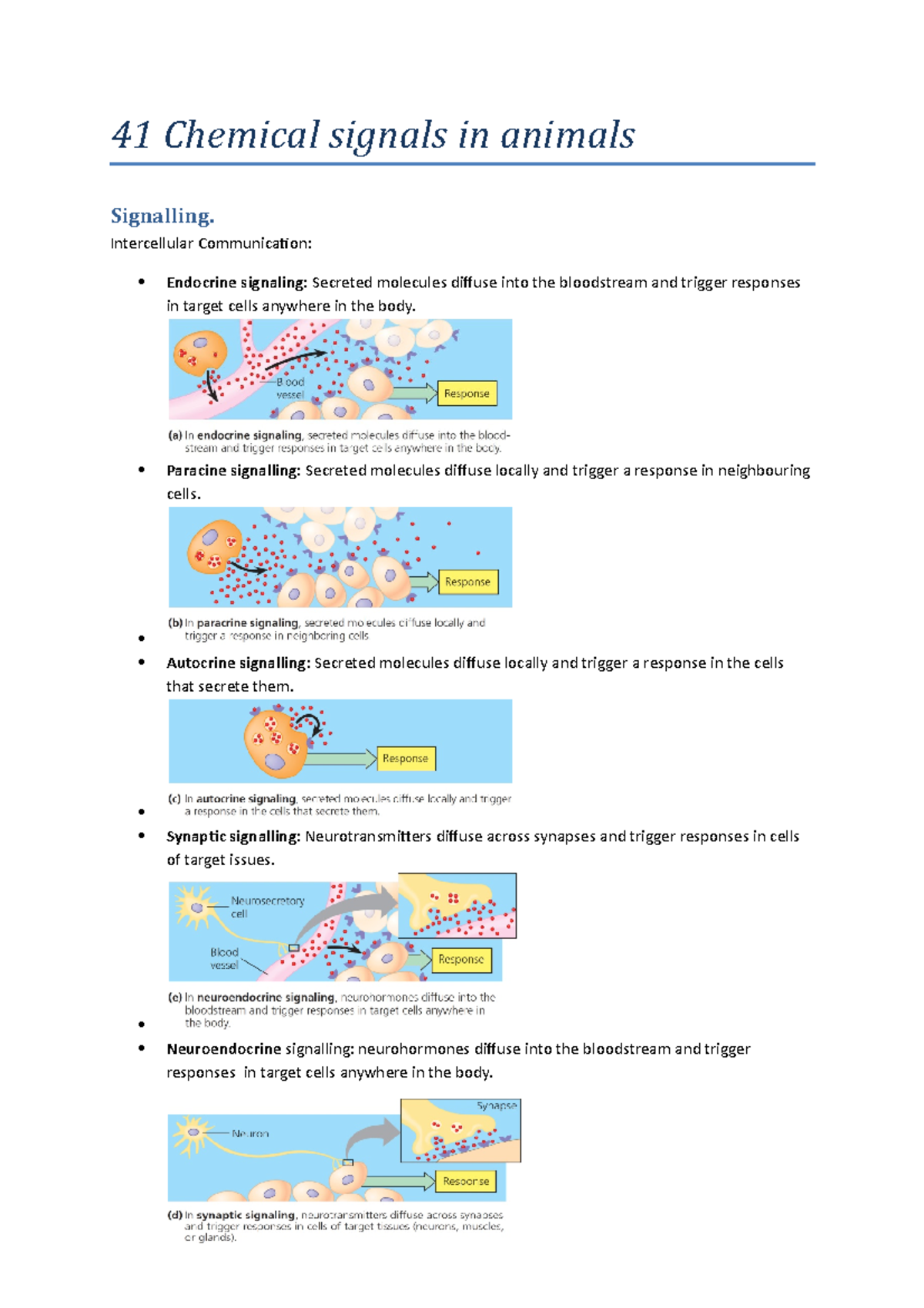 41 Chemical signals in animals - Intercellular Communication: Endocrine ...