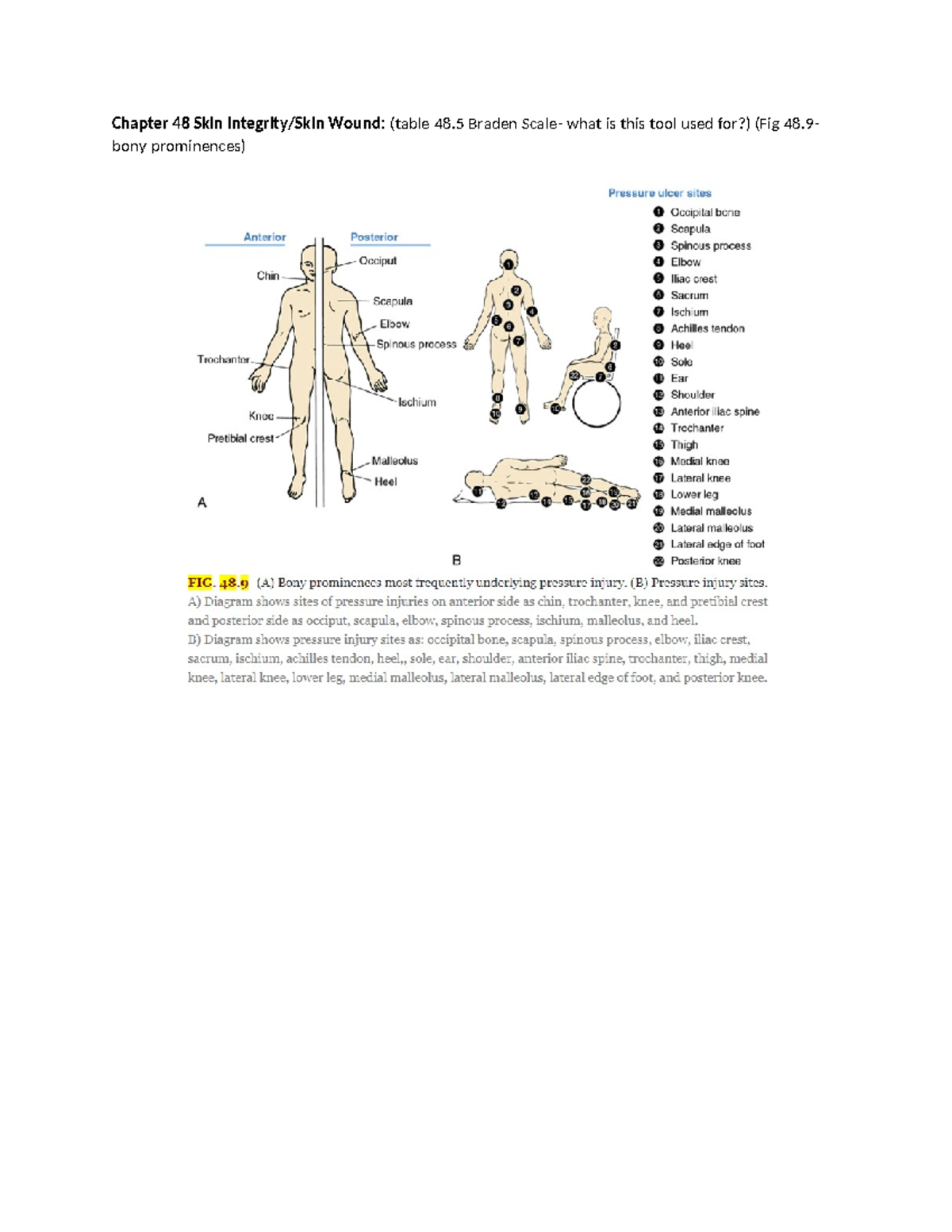 Wound care study guide - Chapter 48 Skin Integrity/Skin Wound: (table ...