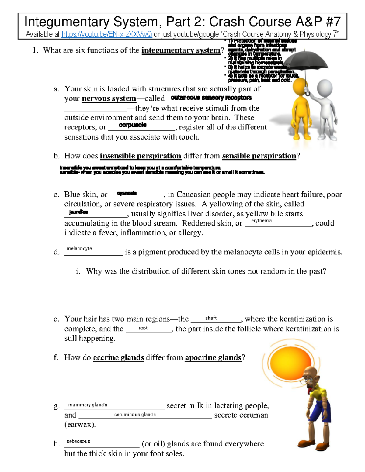- Crash Course Anatomy & Physiology 7 Integumentary System Part 2 ...