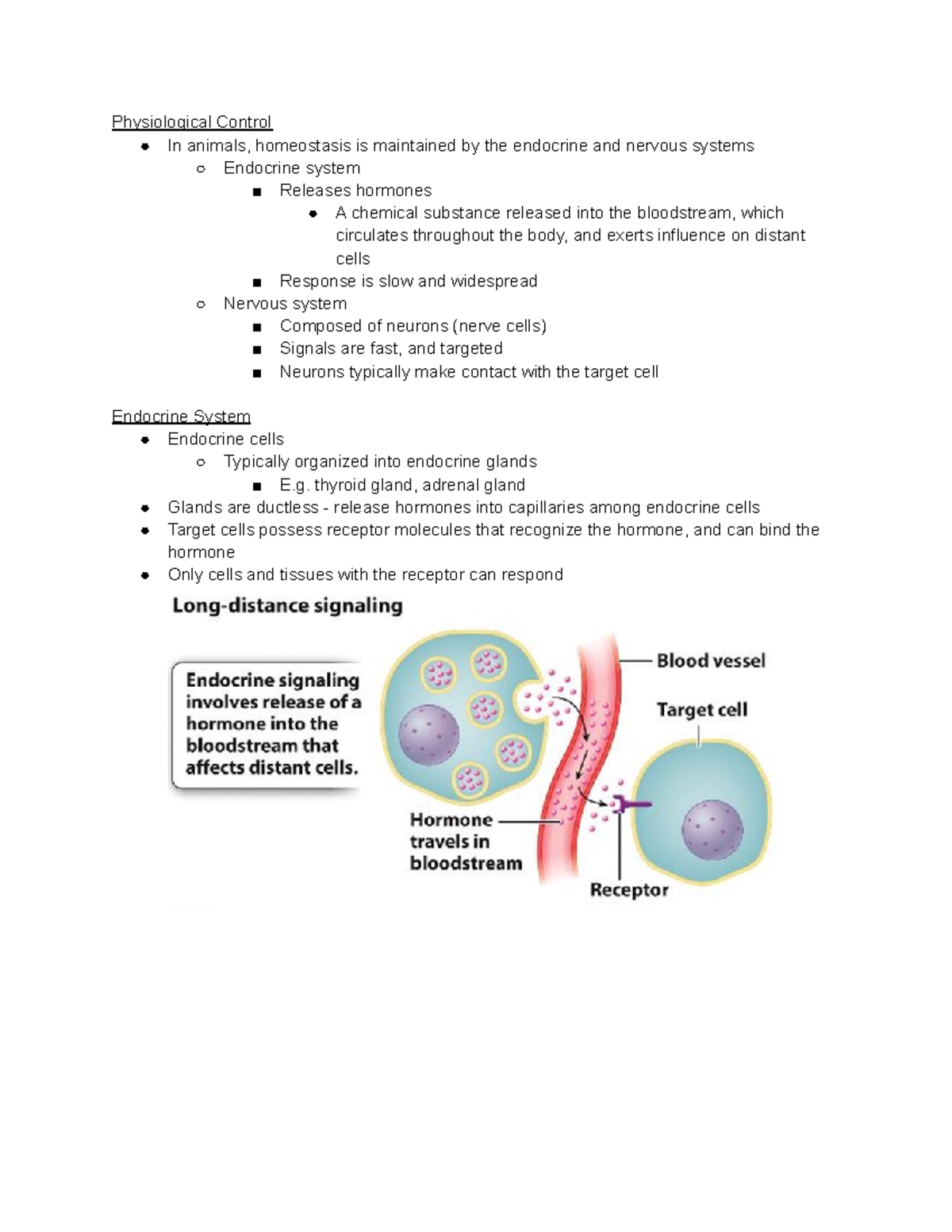 Week 2 - Physiological Control - Physiological Control In animals ...
