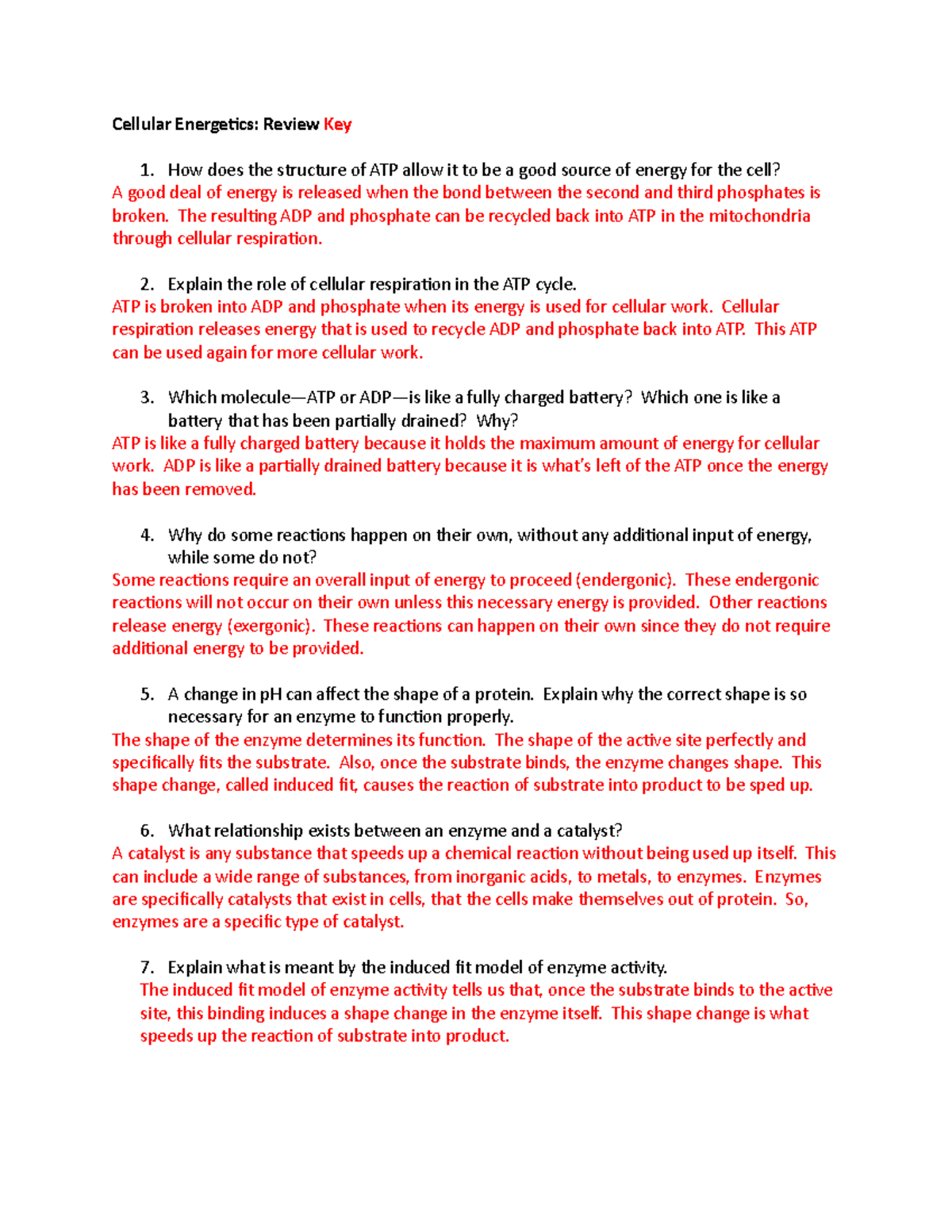 Cellular Energetics Review Key - Cellular Energetics: Review Key How ...