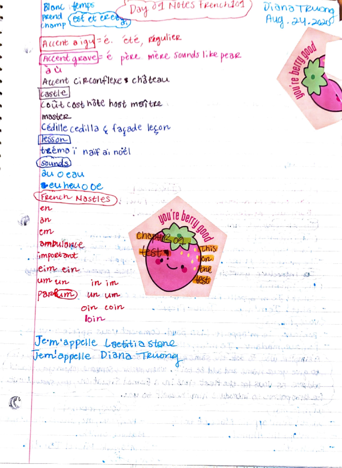 French 101 notes 1 - FRE 101 - Studocu