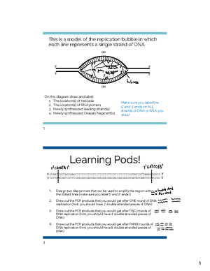 Psych 10 - Professor Clark - Lab 6 Worksheet - Lab 6 Worksheet Case ...