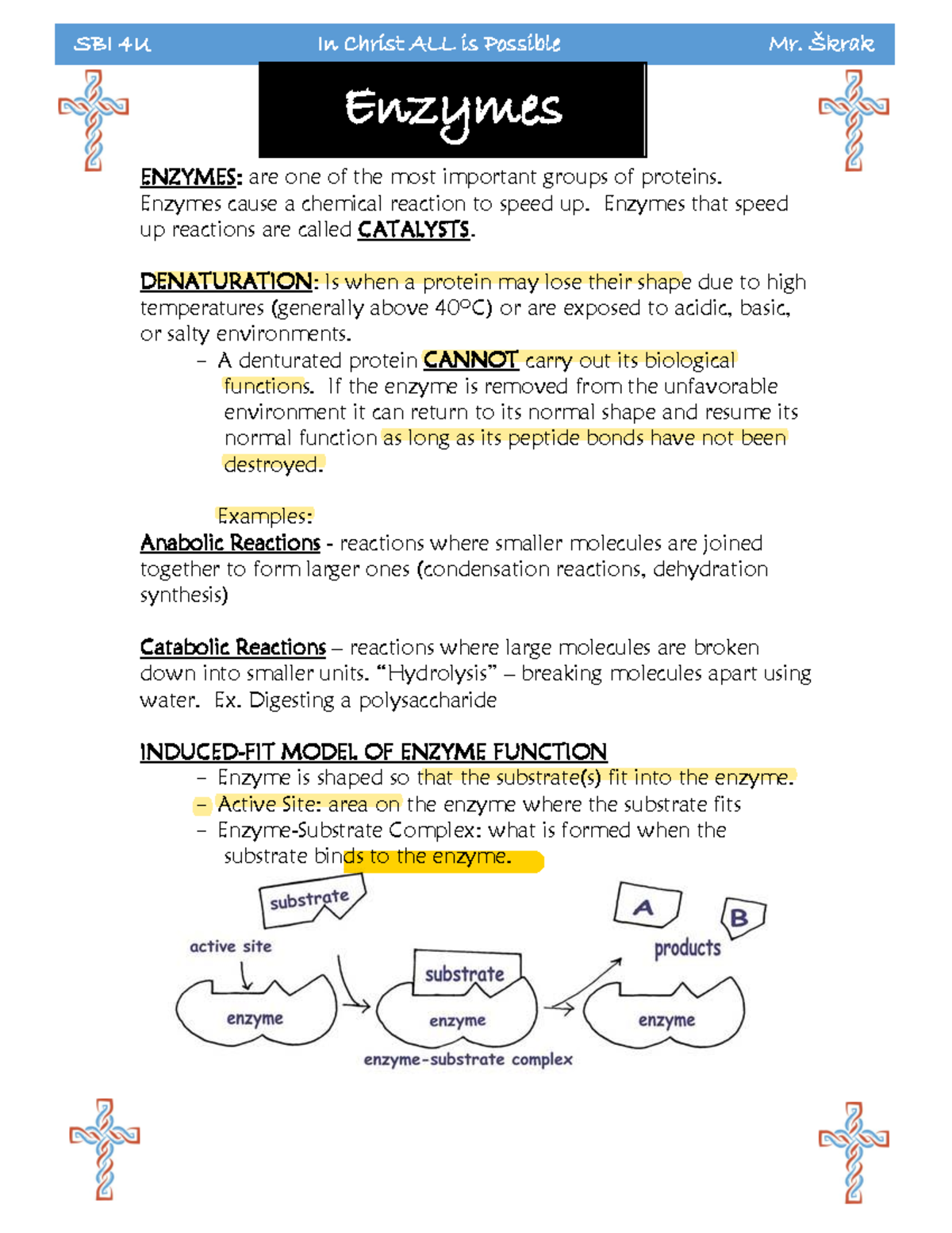 11 Enzymes - Please give as much additional information as possible ...
