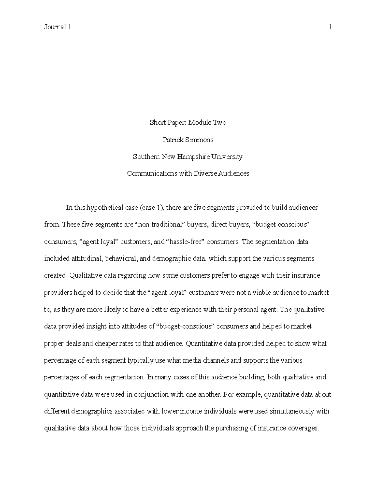 Audience Segmentation Example - Journal 1 1 Short Paper: Module Two ...