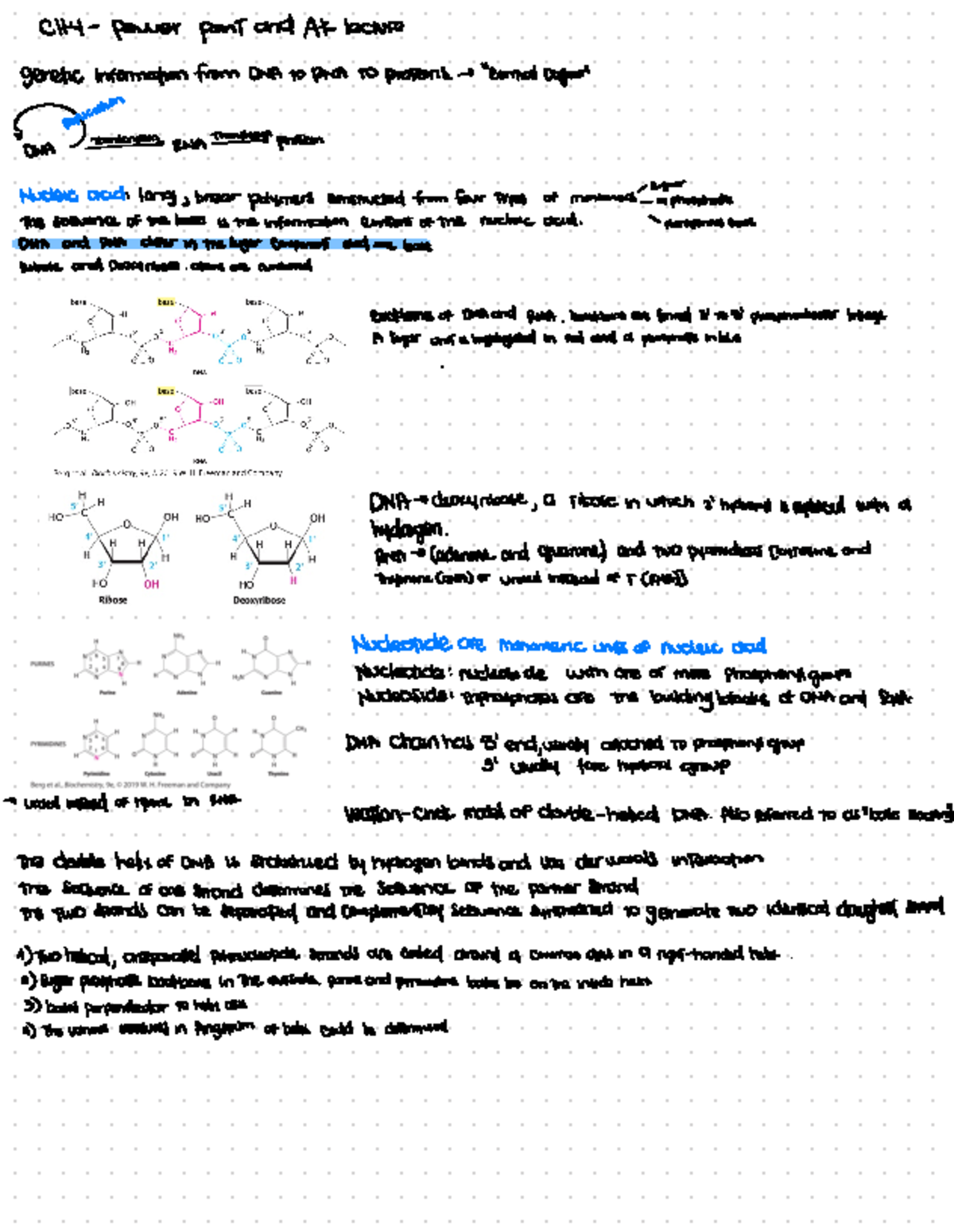 Biochemistry chapter notes on AK lectures- 2020-dr mora - CH 4 power ...