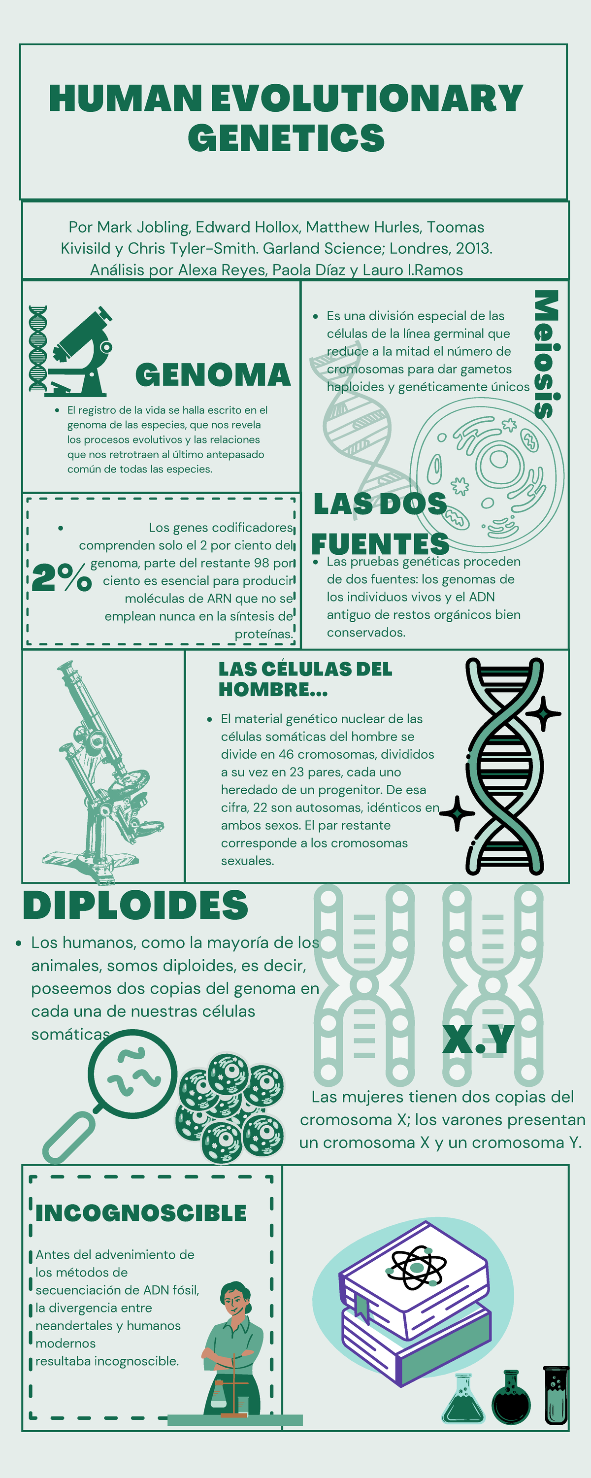 Human Evolutionary genetics - Por Mark Jobling, Edward Hollox, Matthew ...