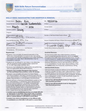 RUA Safety Goals NR 224 - RUA Safety Goals Belkis Ruiz Chamberlain ...