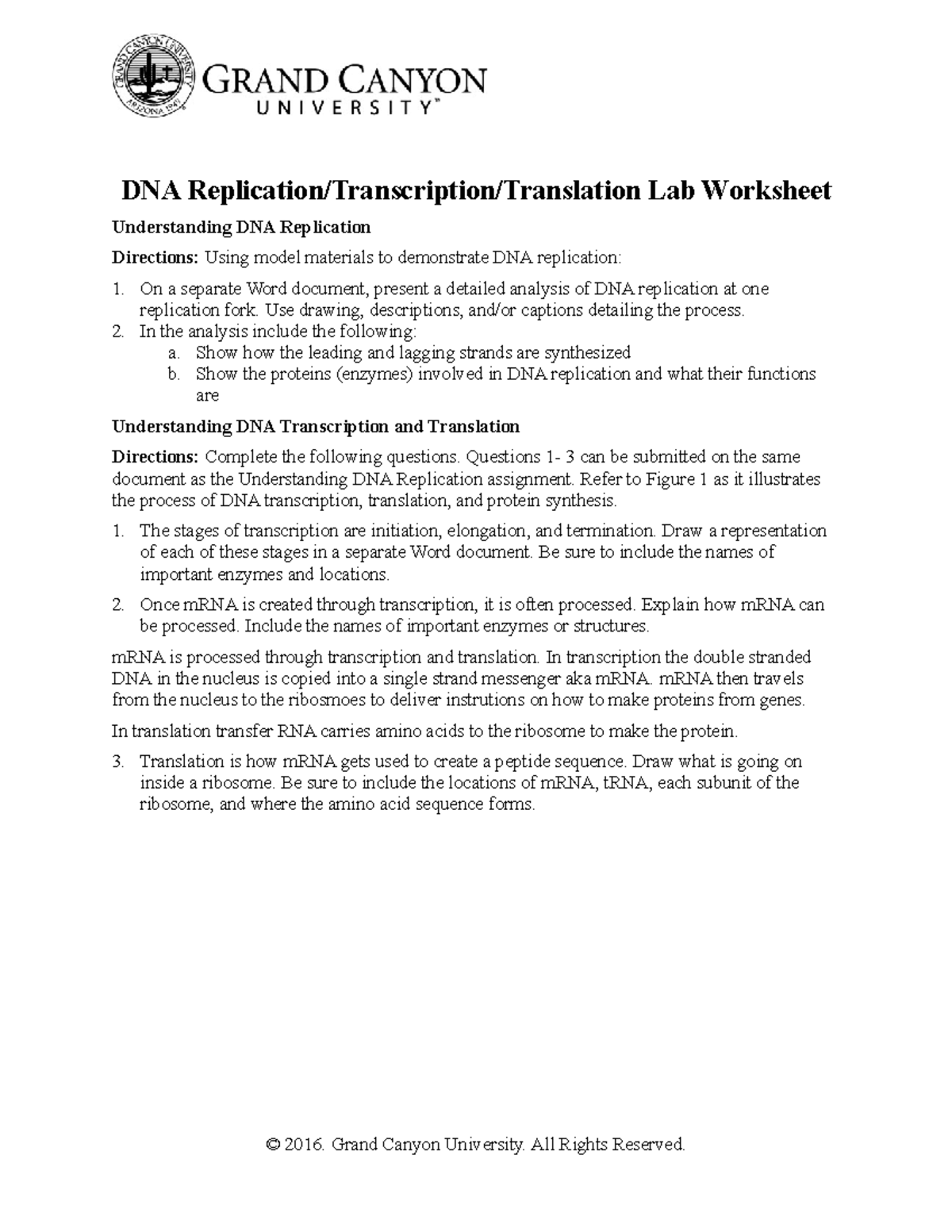 DNA replication worksheet - DNA Replication/Transcription/Translation ...