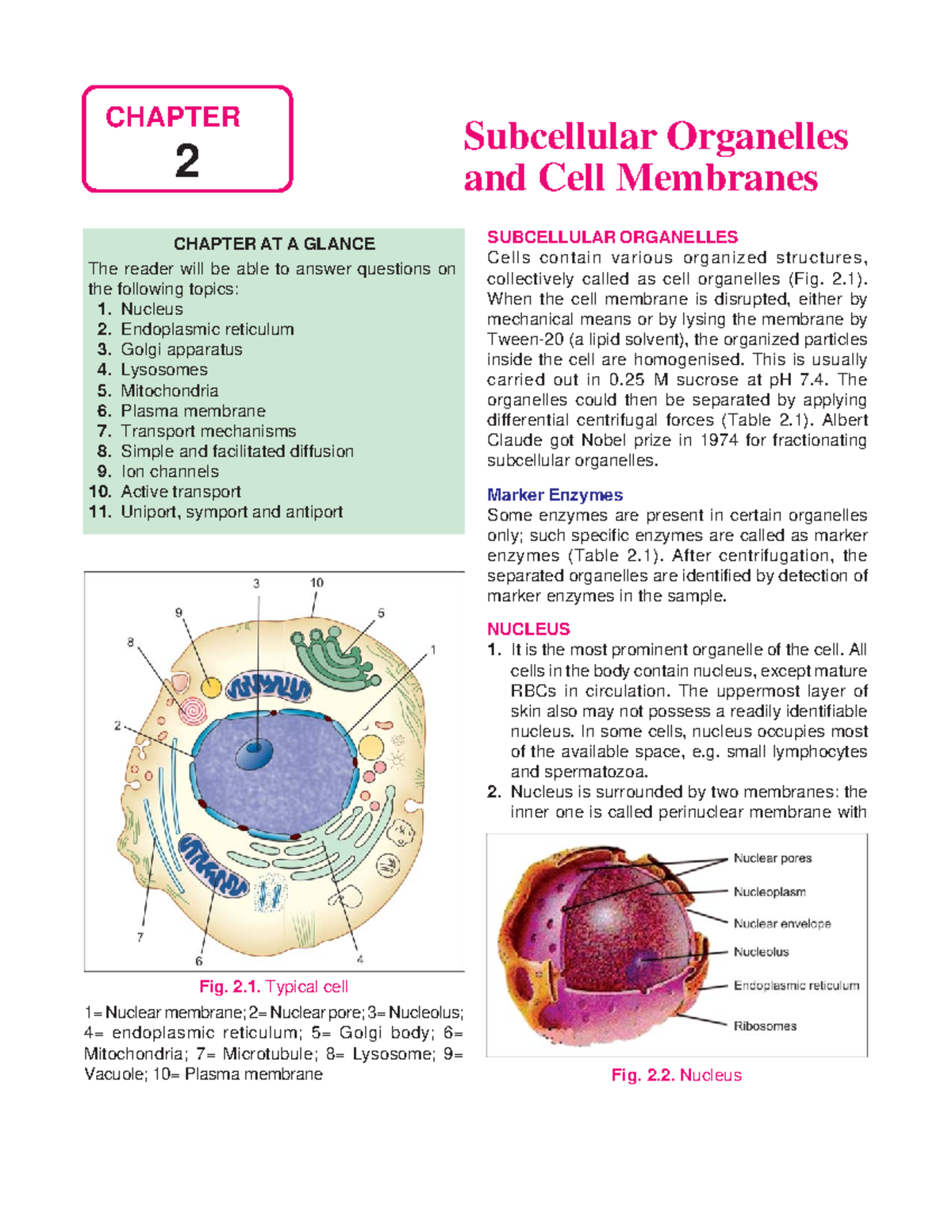 Subcellular organelles and cell membranes - Subcellular Organelles and Cell Membranes CHAPTER AT ...