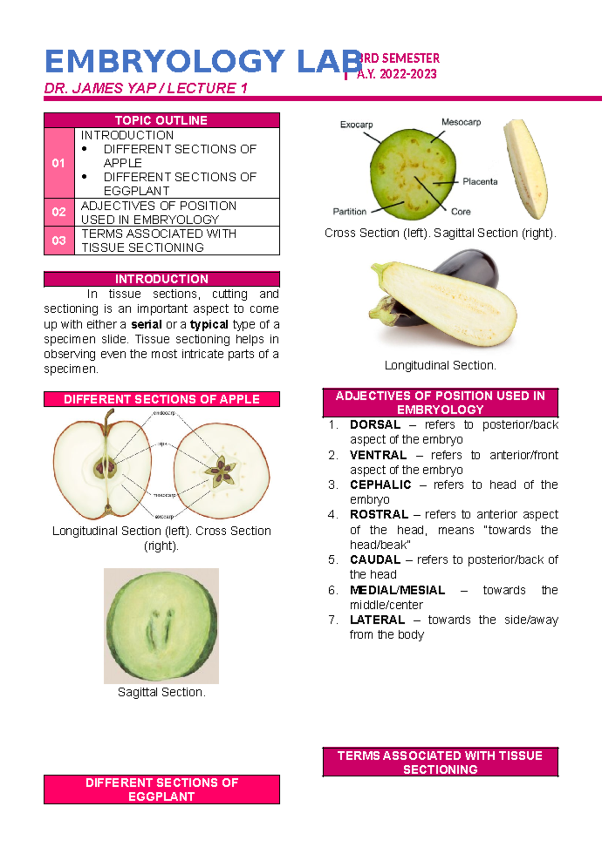 Embryology Laboratory 1 - | 3RD SEMESTER EMBRYOLOGY LAB A. 2022- DR ...