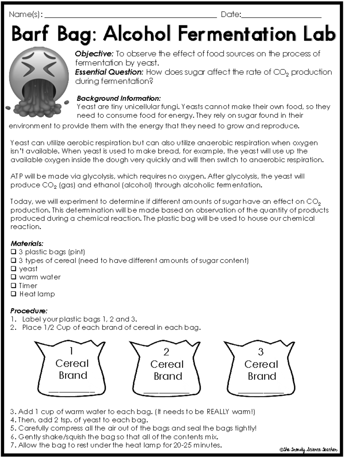 Barf Bag Lab - lab on cellular respiration and fermentation - Name(s ...
