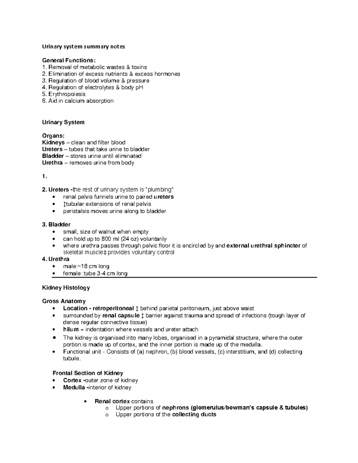 Urinary system Summary - 2. Ureters - the rest of urinary system is ...