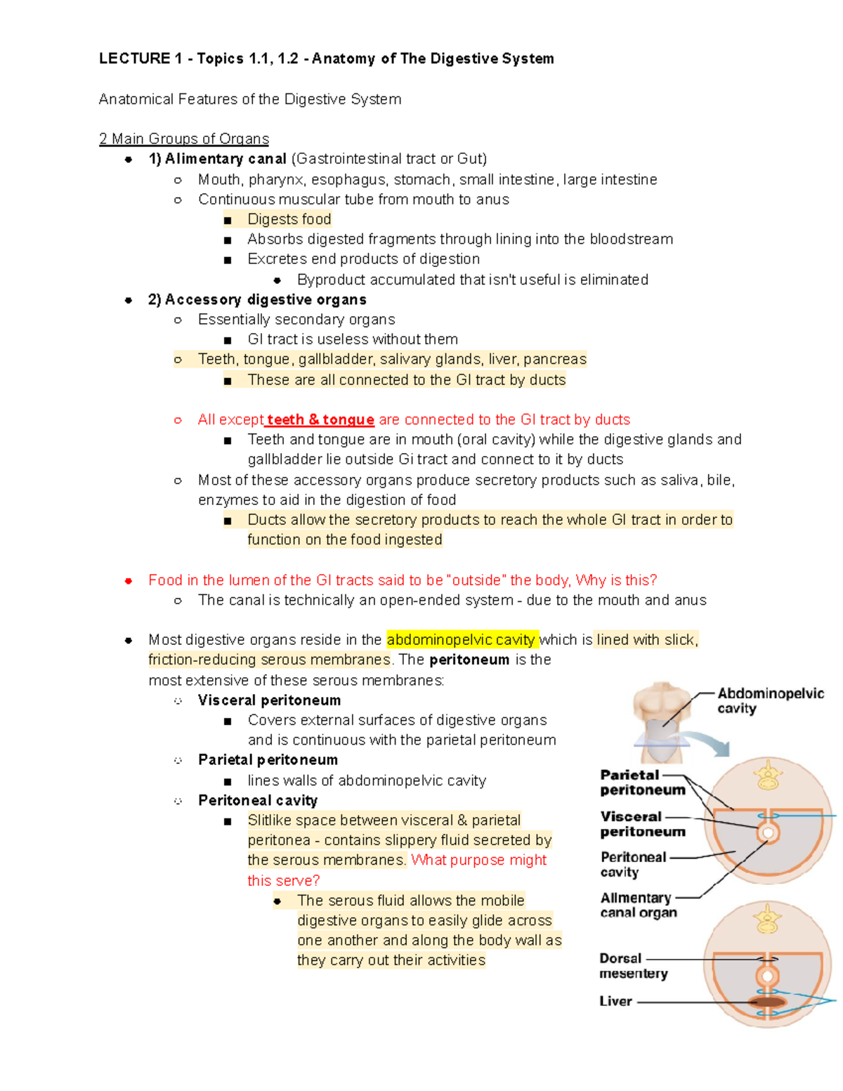 Digestive System ALL - LECTURE 1 - Topics 1, 1 - Anatomy of The ...
