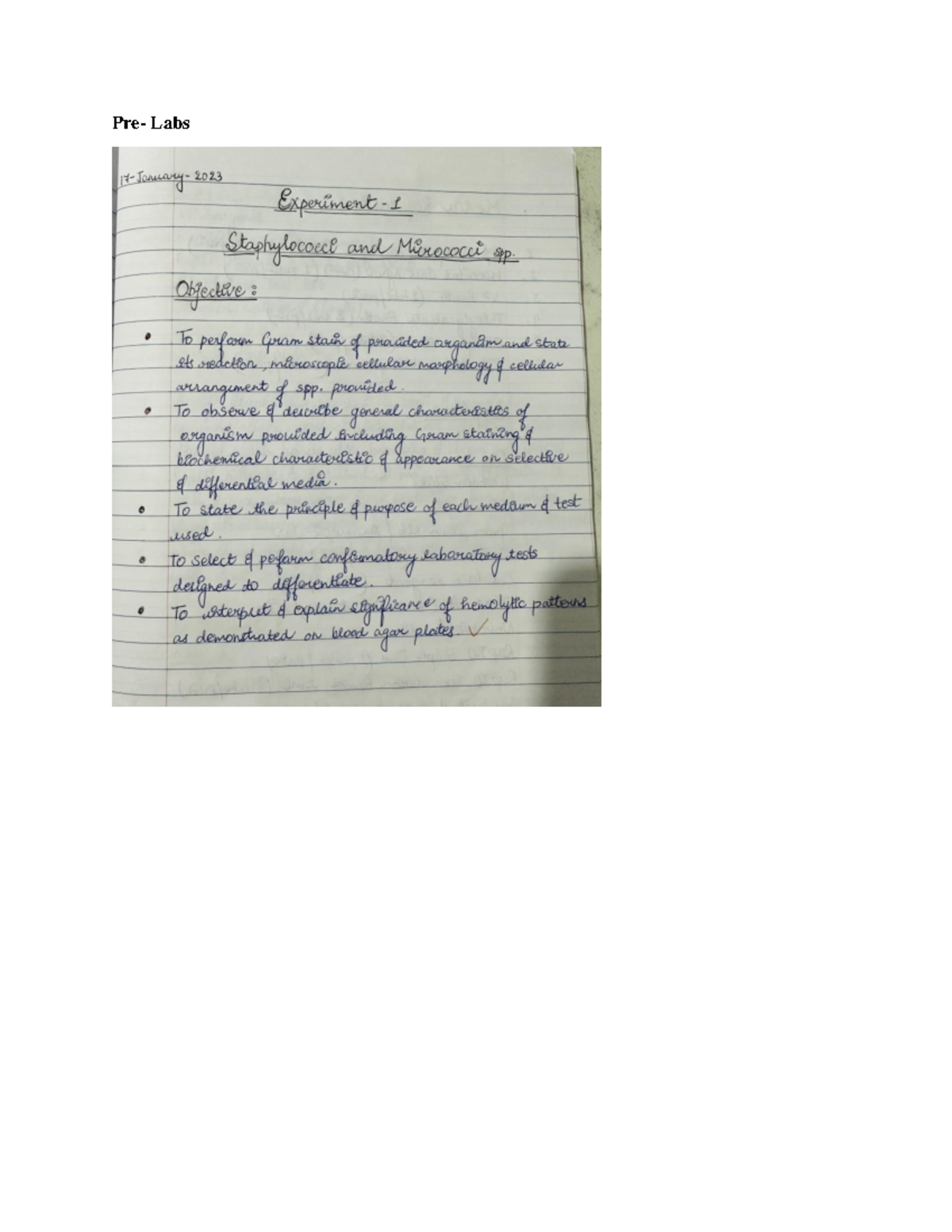 Experiment-1 Sys - Assignment - Pre- Labs RapID Staph Plus Report ...