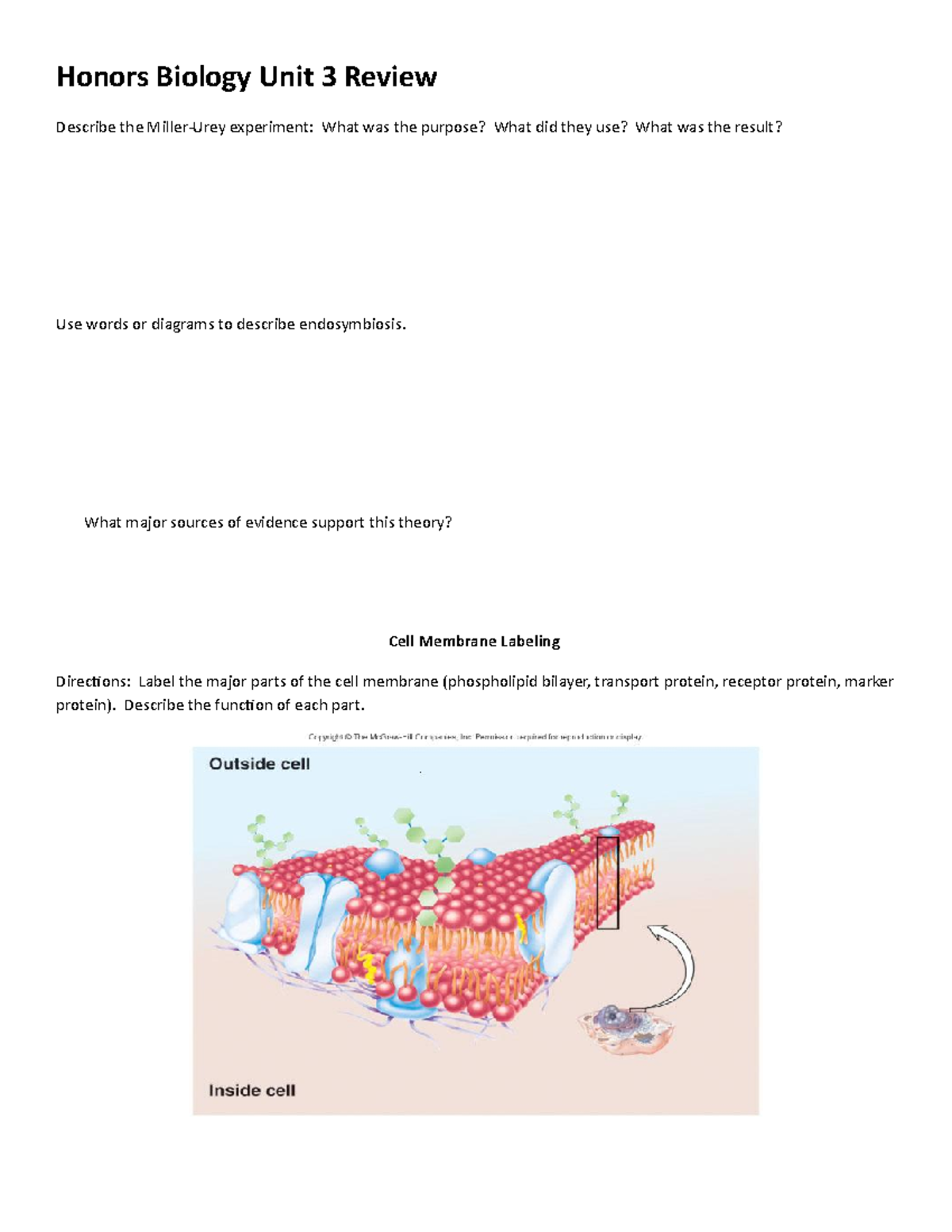 Honors Biology Unit 3 Review - Honors Biology Unit 3 Review Describe ...