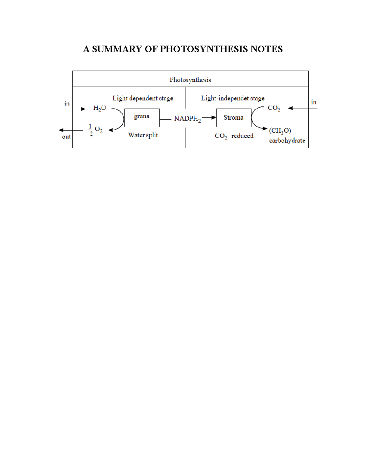 A SUMMARY OF PHOTOSYNTHESIS NOTES - A SUMMARY OF PHOTOSYNTHESIS NOTES ...