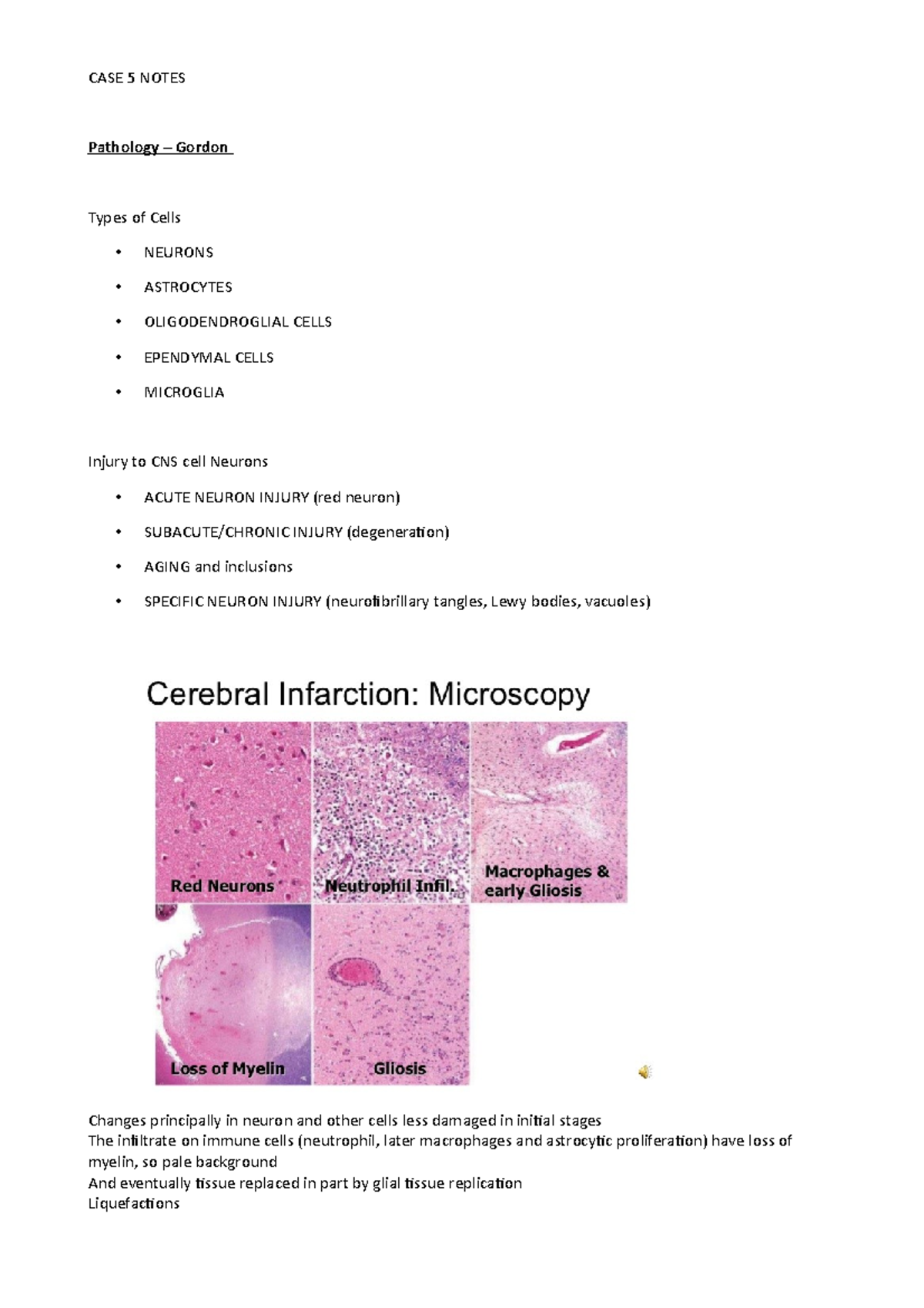 Case 5 Notes - Neuro - CASE 5 NOTES Pathology – Gordon Types of Cells ...