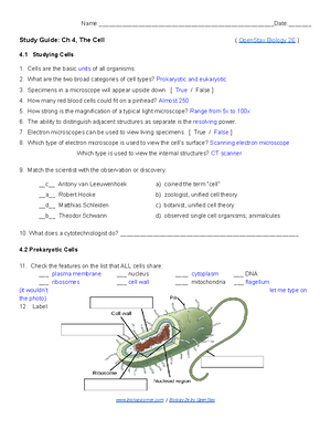 Biology II chap 20 part II notes - Biology II Chapter 20 part II Fungus ...