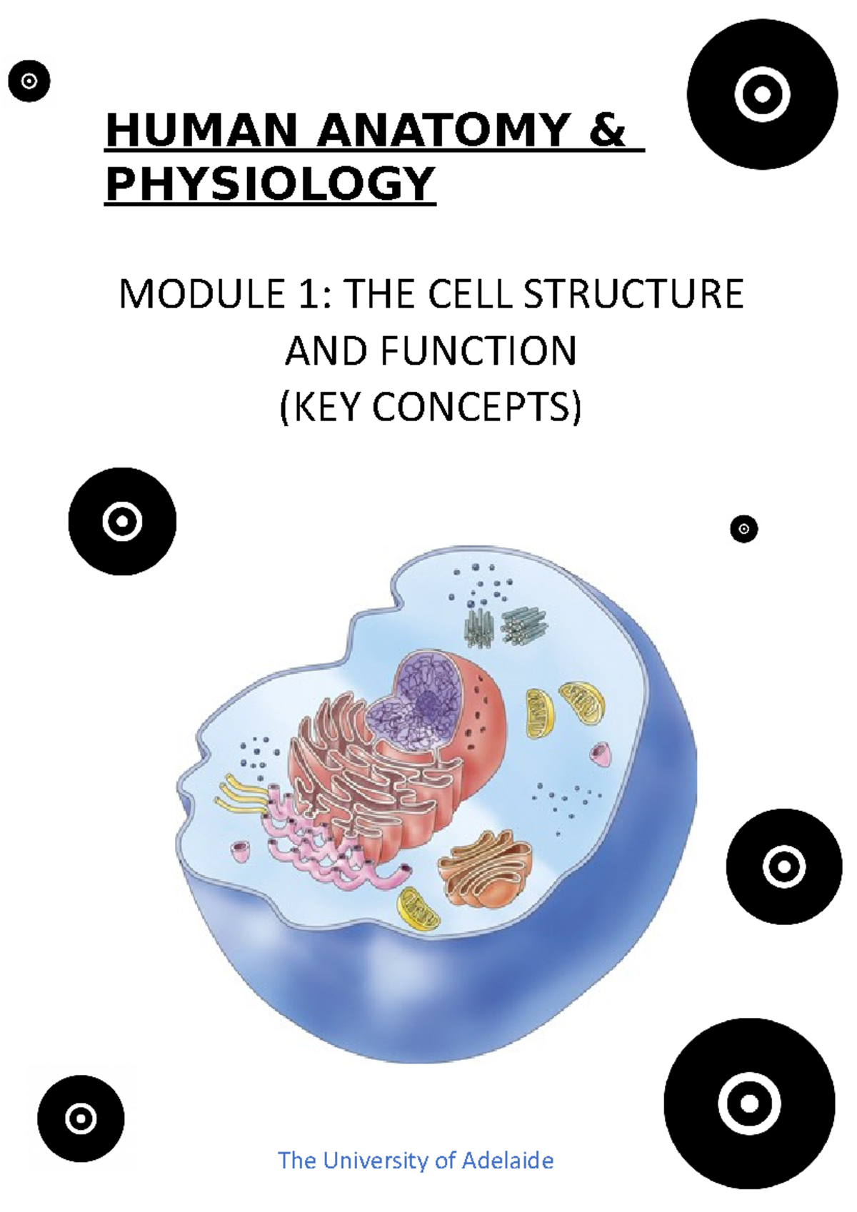 Anatomy module 1 need to know - HUMAN ANATOMY & PHYSIOLOGY The ...