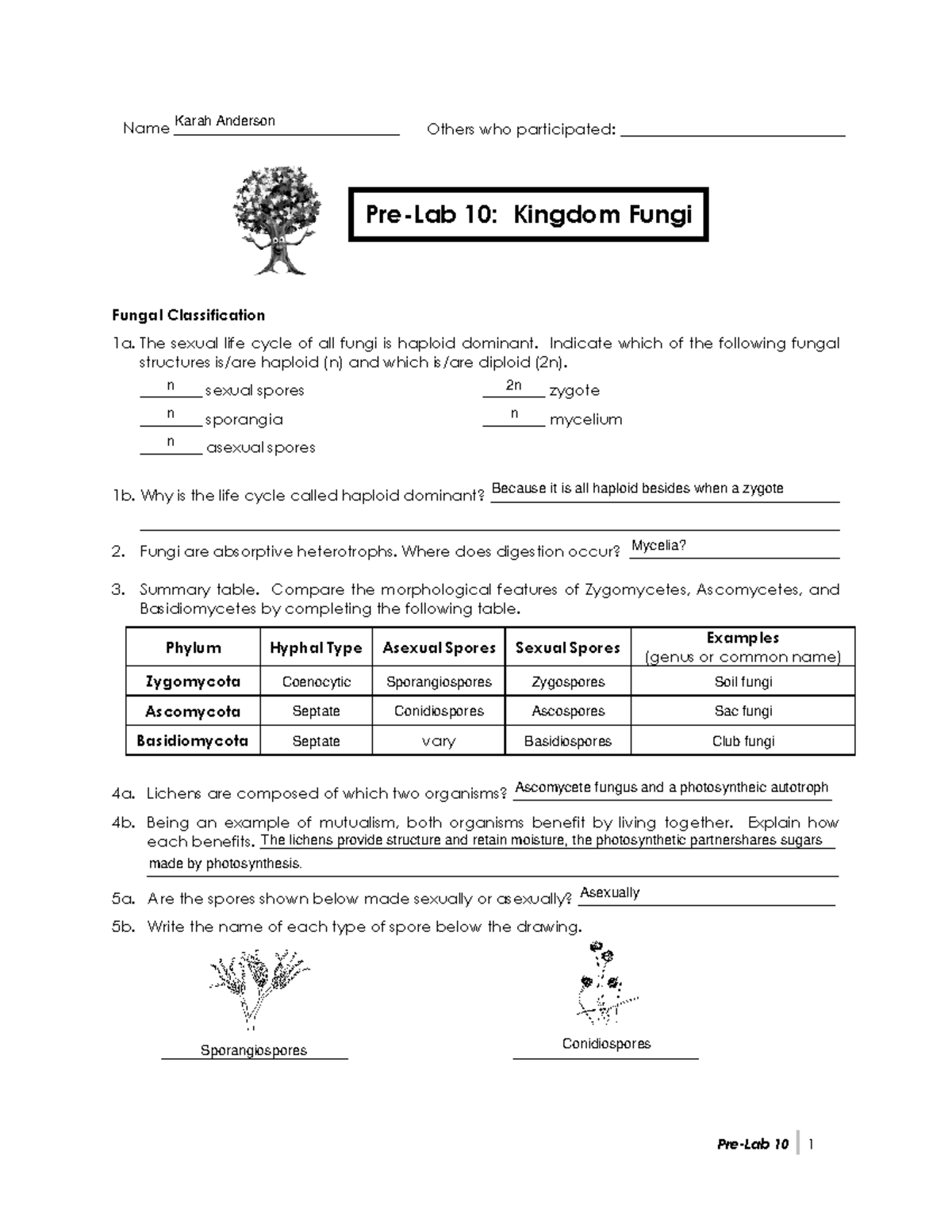 10a Prelab 10 Kingdom Fungi - Pre-Lab 10 1 Others who participated