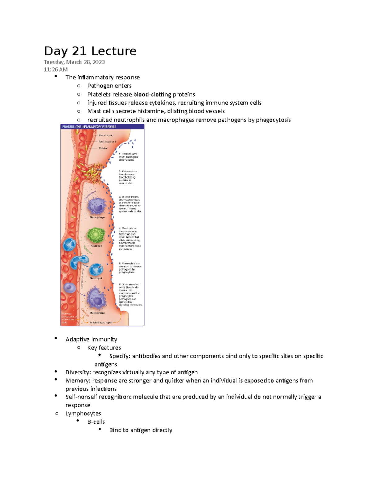 BIO 212-Day 21 Lecture - Day 21 Lecture Tuesday, March 28, 2023 11:26 AM The inflammatory ...