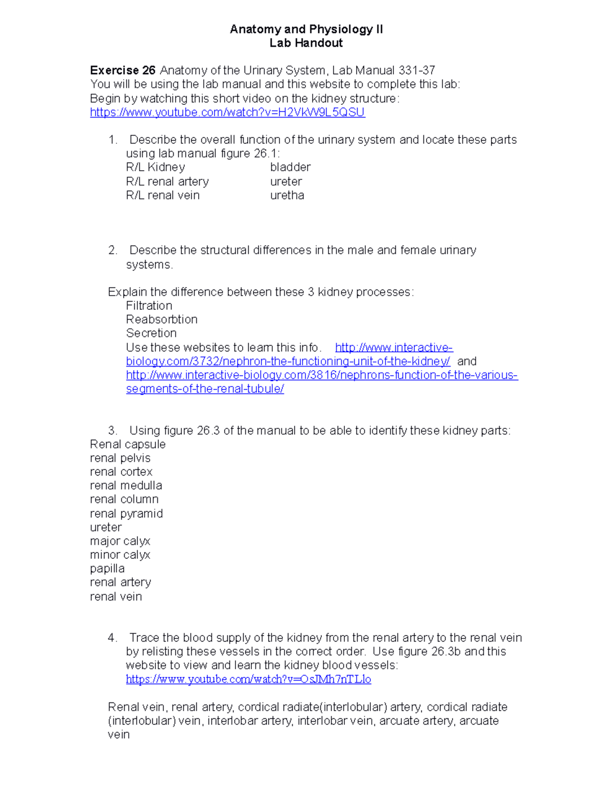 Ap2 ex 26 urinary system online lab document to be completed - Anatomy ...